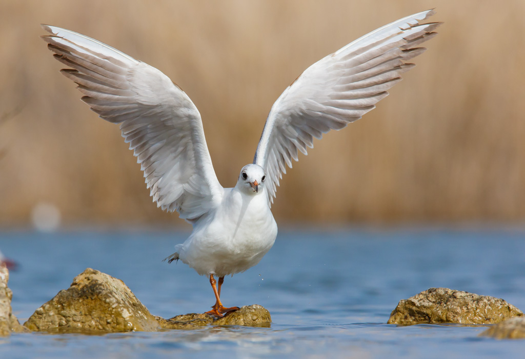 Nikos Fokas Photopraphy Blog