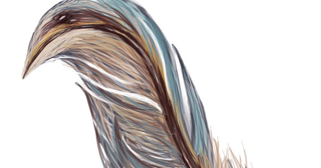 Libby Lamb Wagner: feather