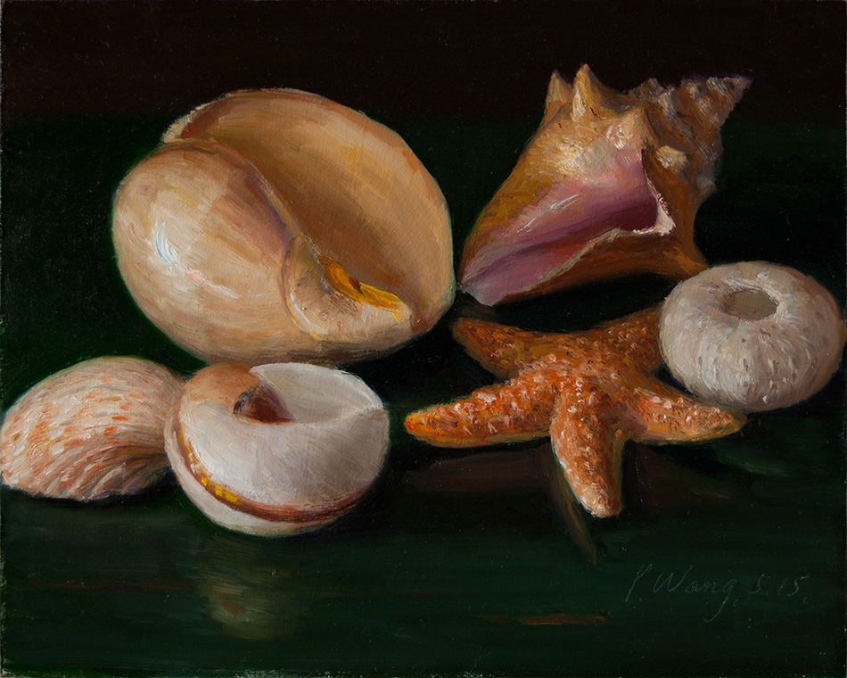 Wang Fine Art: seashells oil painting still life