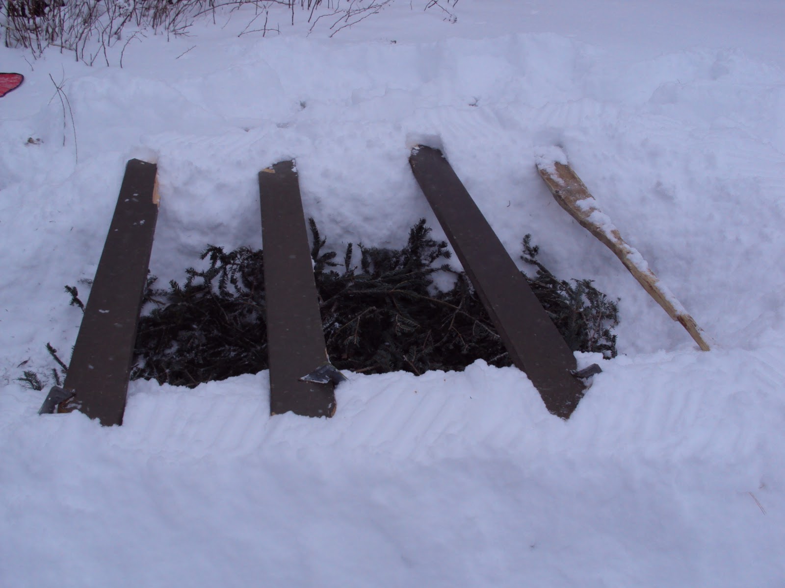 Bens Blog: Winter Survival Shelter: The snow trench