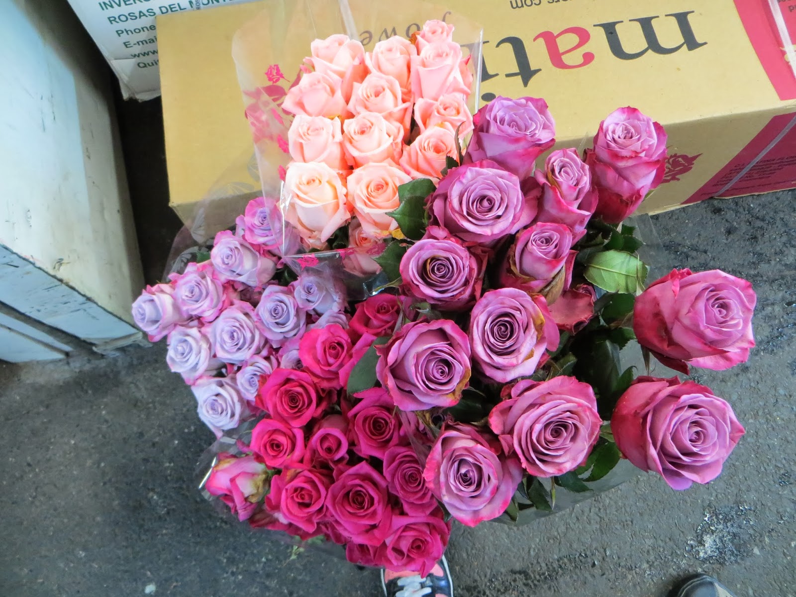 Les coulisses du Marché de Rungis: Une société importatrice de fleurs ...