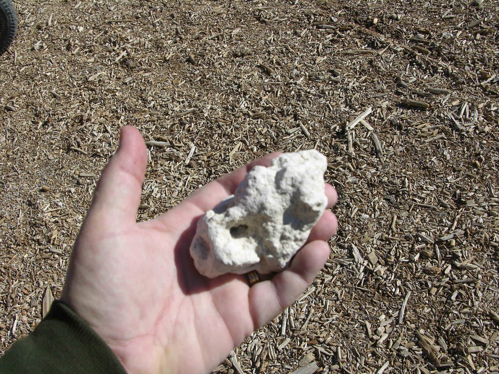 Xtremehorticulture of the Desert: Caliche May Determine How to Plant ...
