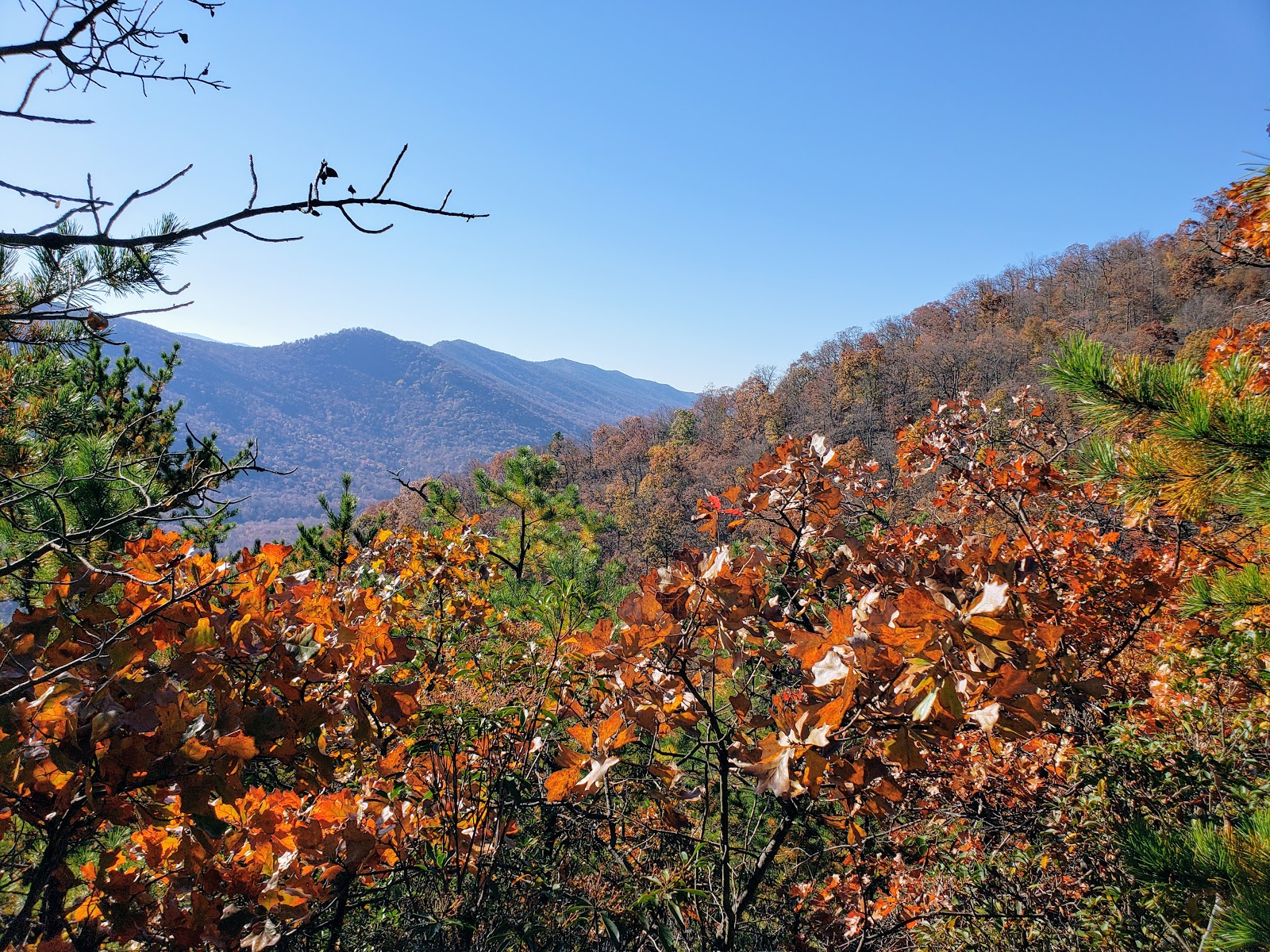 Ben's Journal: Signal Knob Hike | 10 Miles of views, secluded ...