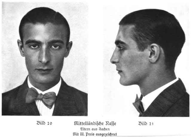 Mediterranid Examples - Page 26