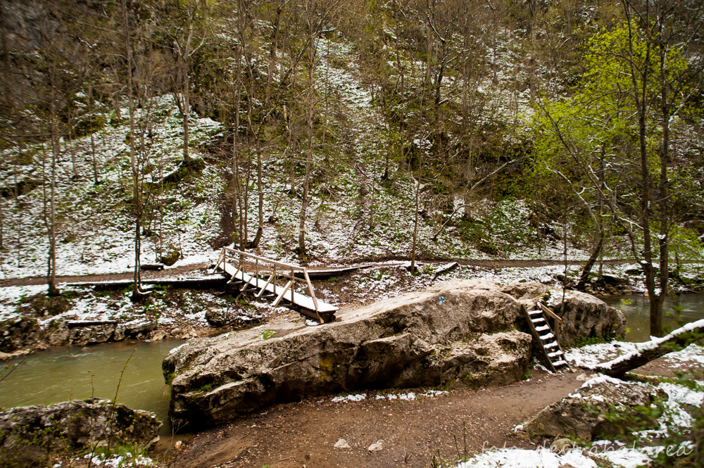 Cheile Vârghișului, Cetatea Rupea și Bujorii de la Zău de Câmpie - 21 ...