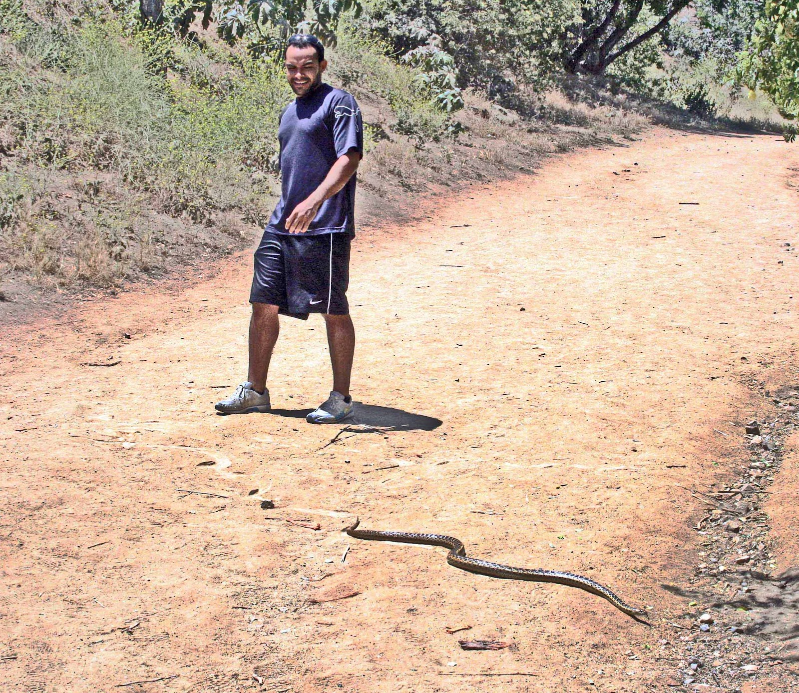 GEOFF NICHOLSON: THE LONG LOST WALKER: WALKING WITH SNAKES