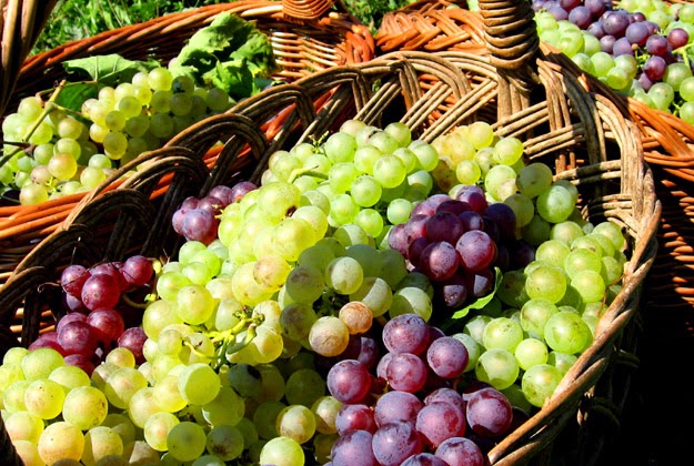 spagosmail: Aktuelno voće - Grožđe