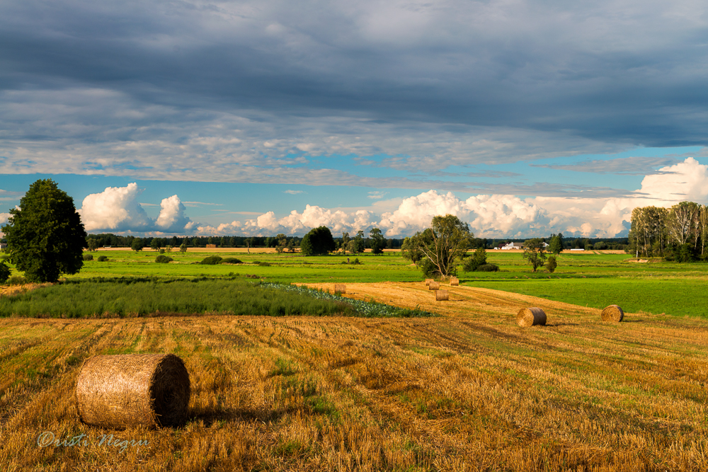 The World Through My Lens ...: Countryside