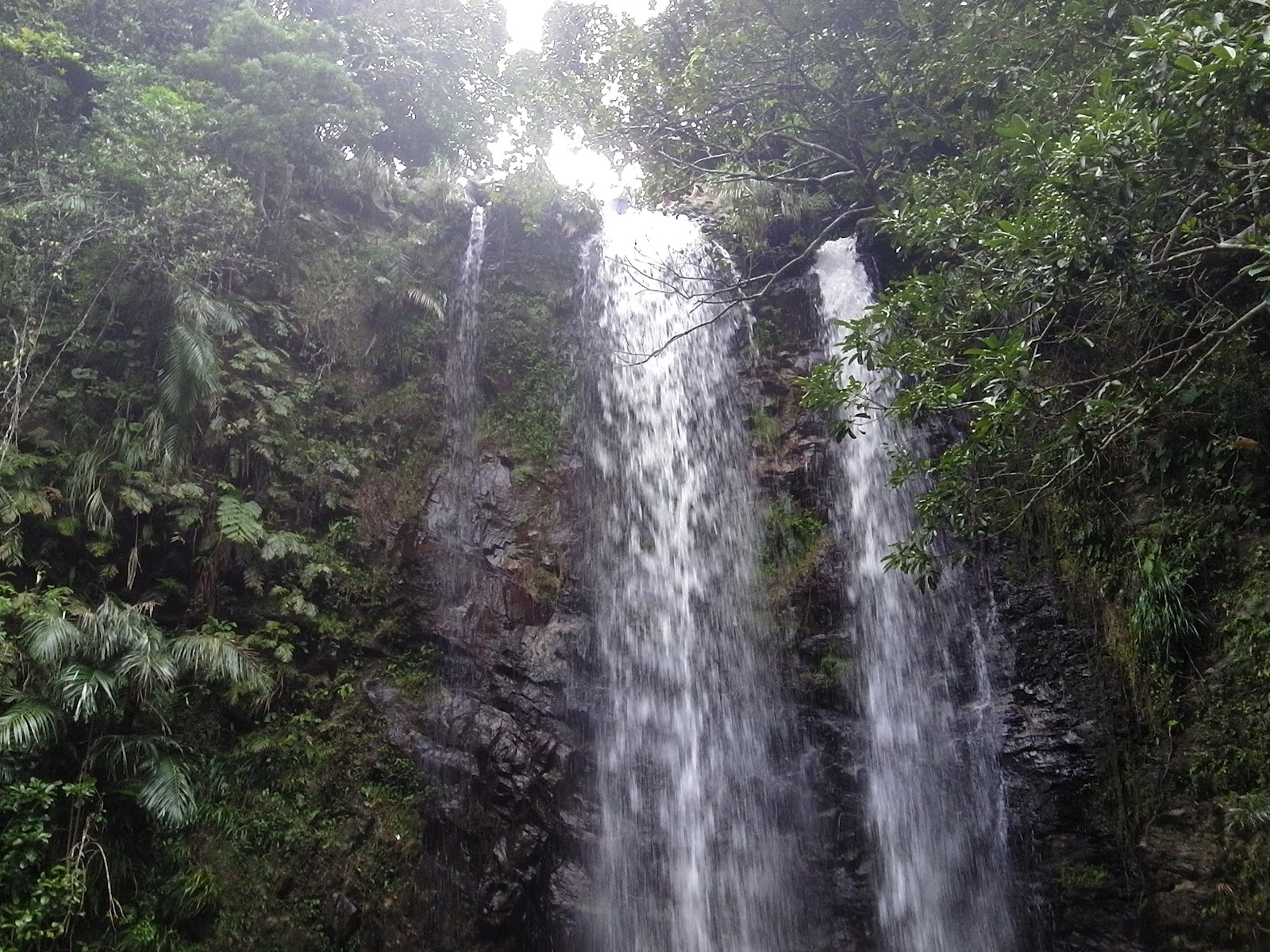 SoRandomSoSilver: Tadake Falls