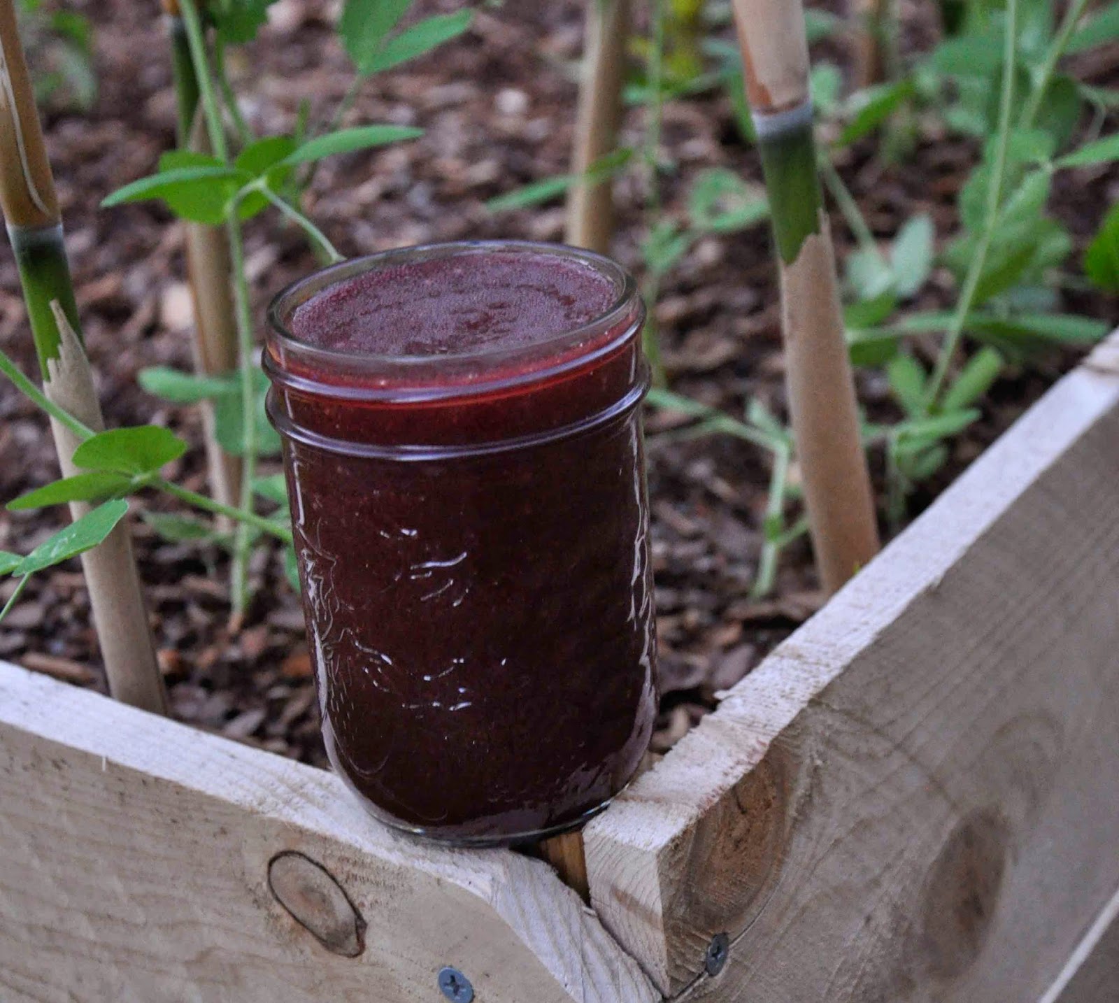 Maple Macaroni: Best-Ever Berry Vinaigrette