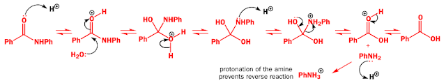 Chemistry: Hydrolysing amides