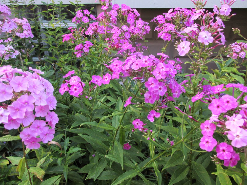 moonsilk stitches: August 2014