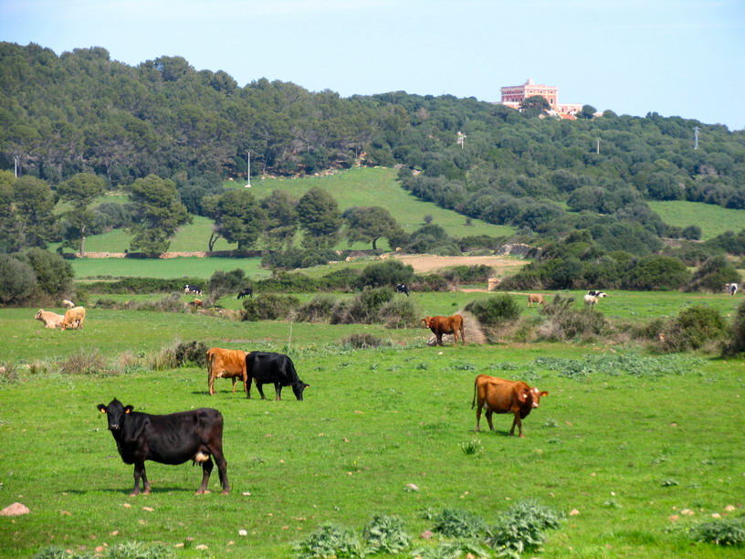 LA VIDA EN LA RU: Ahora, la vida rural es chic