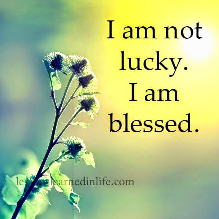 Reflexiones: blessed