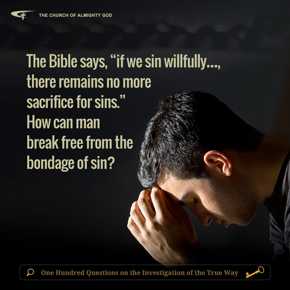 Almighty God Is My Lord and My God: holy bible