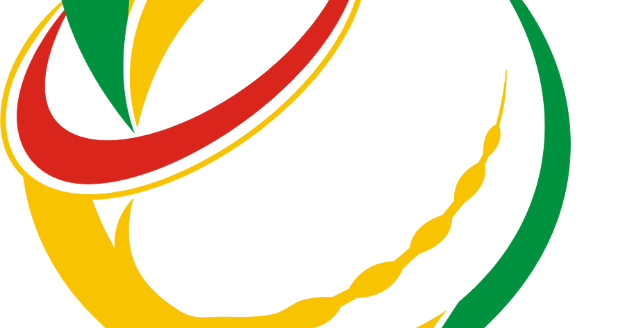 UPT Badan Pelindungan Pekerja Migran Indonesia (BP2MI) Wilayah Palembang