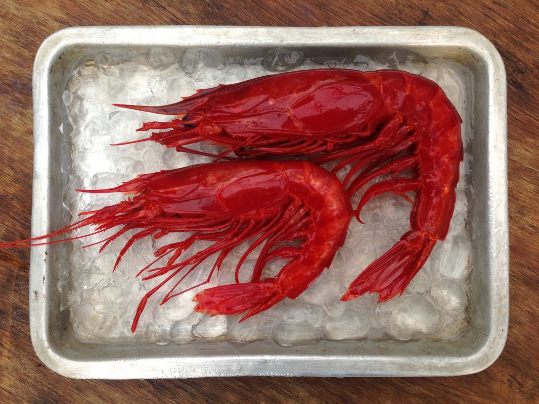 The Edible Ocean: Red Is In For Valentine's Day