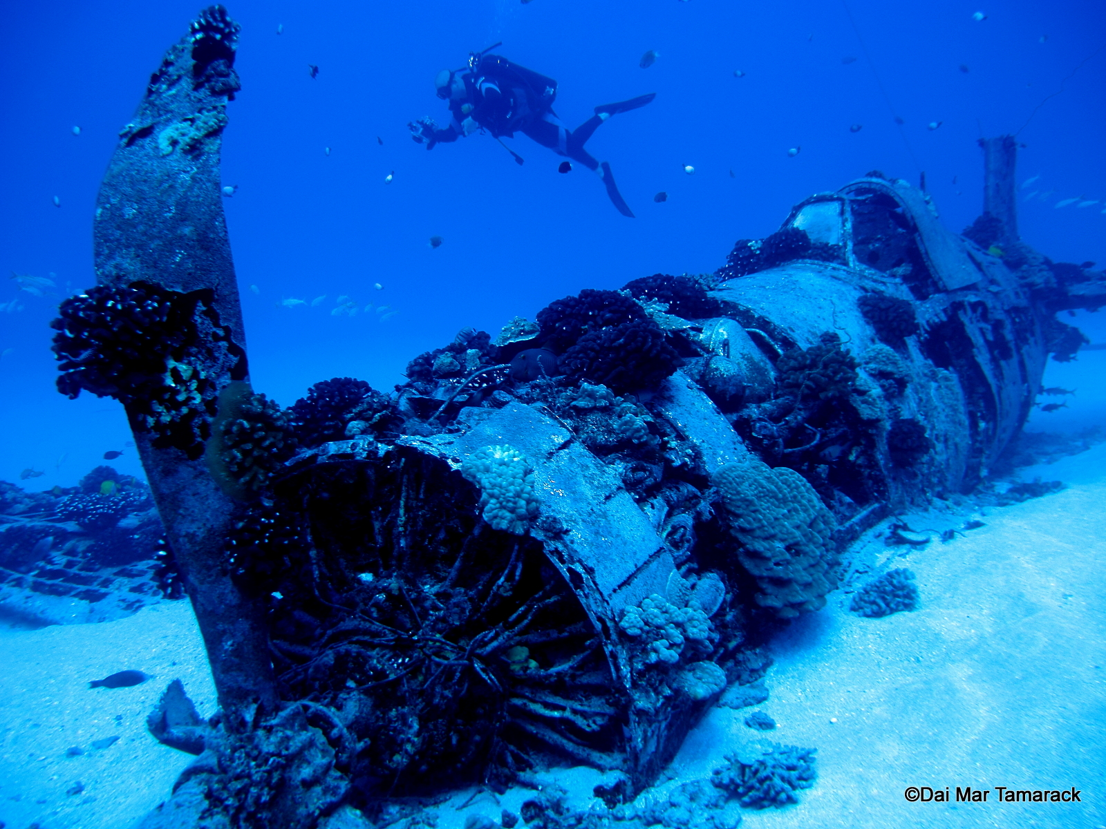 Capturing the Moment: The Wreck of the Corsair, Oahu
