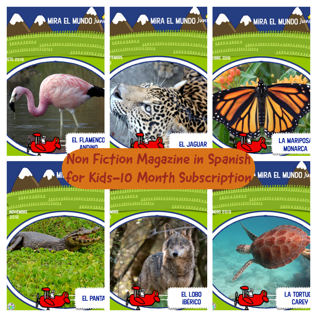 March Madness with a Twist-How I Made Brackets with Animals for my ...