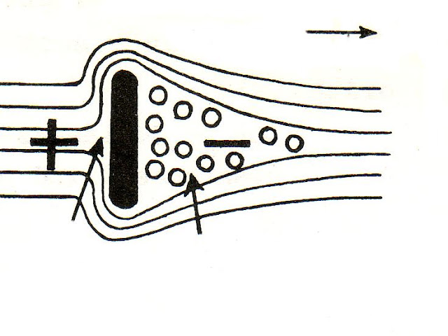 Swimming-Synergy ....: 11 / Legile mecanicii evocate la inot