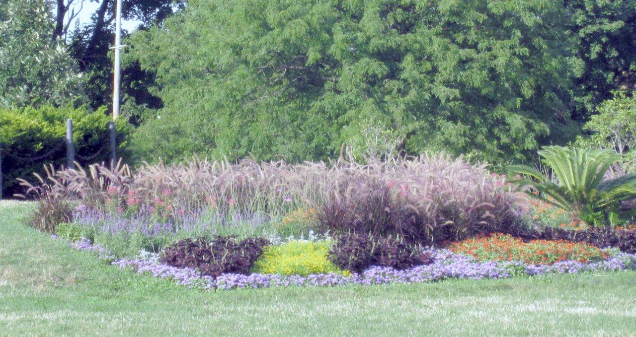 Kevin's Photo Contest