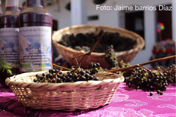 Parnassus Americano: XOXOGO O CHOCHOGO Antonio Fco. Rguez. A.