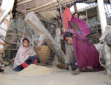 Dhiki - Alchetron, The Free Social Encyclopedia