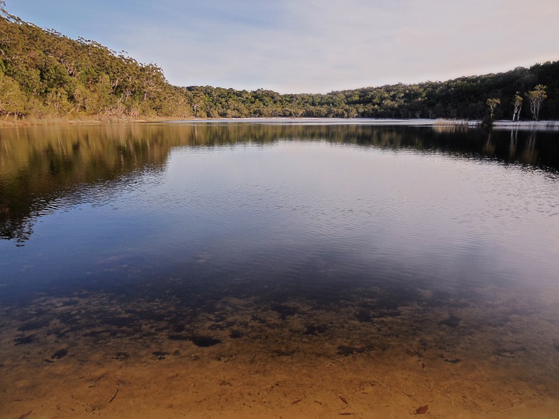 The Conspiracy Times: Cooloola Great Walk