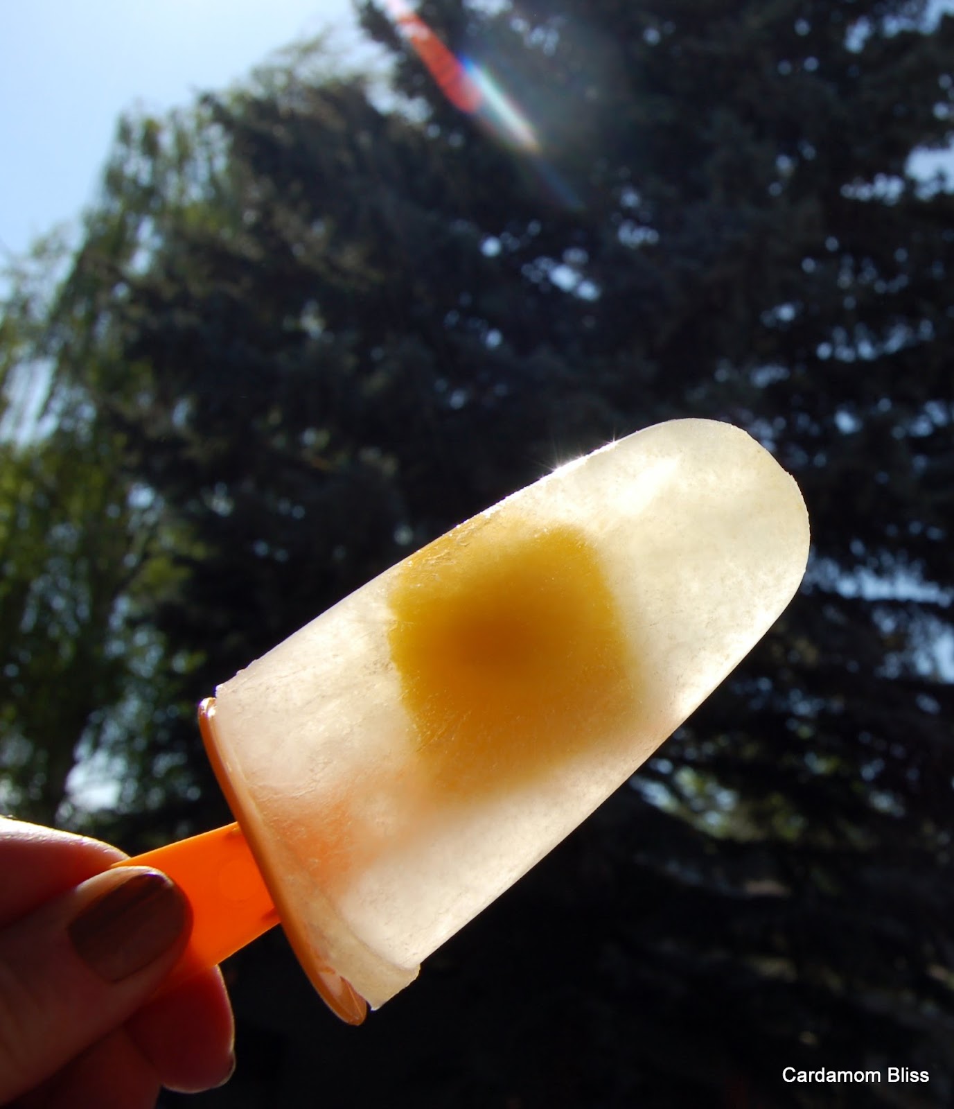 Cardamom Bliss: It's not your mamma's cooking: Amazing Coconut, Rose ...