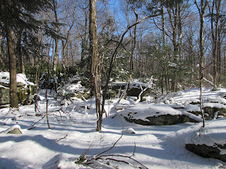 Wolf Rocks and Beam Rocks Overlook Hikes, Forbes State Forest, Somerset ...