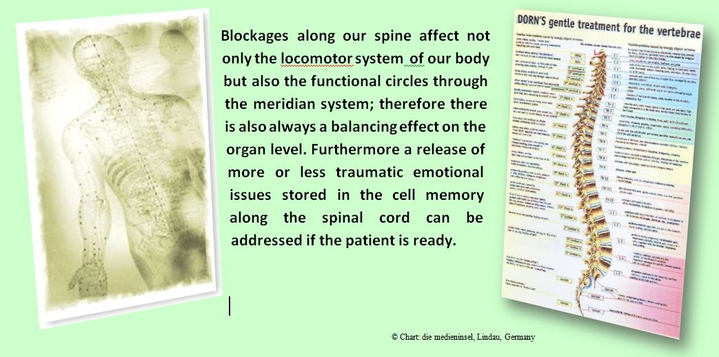 Balance Your Life: SPINAL Alignment Therapy