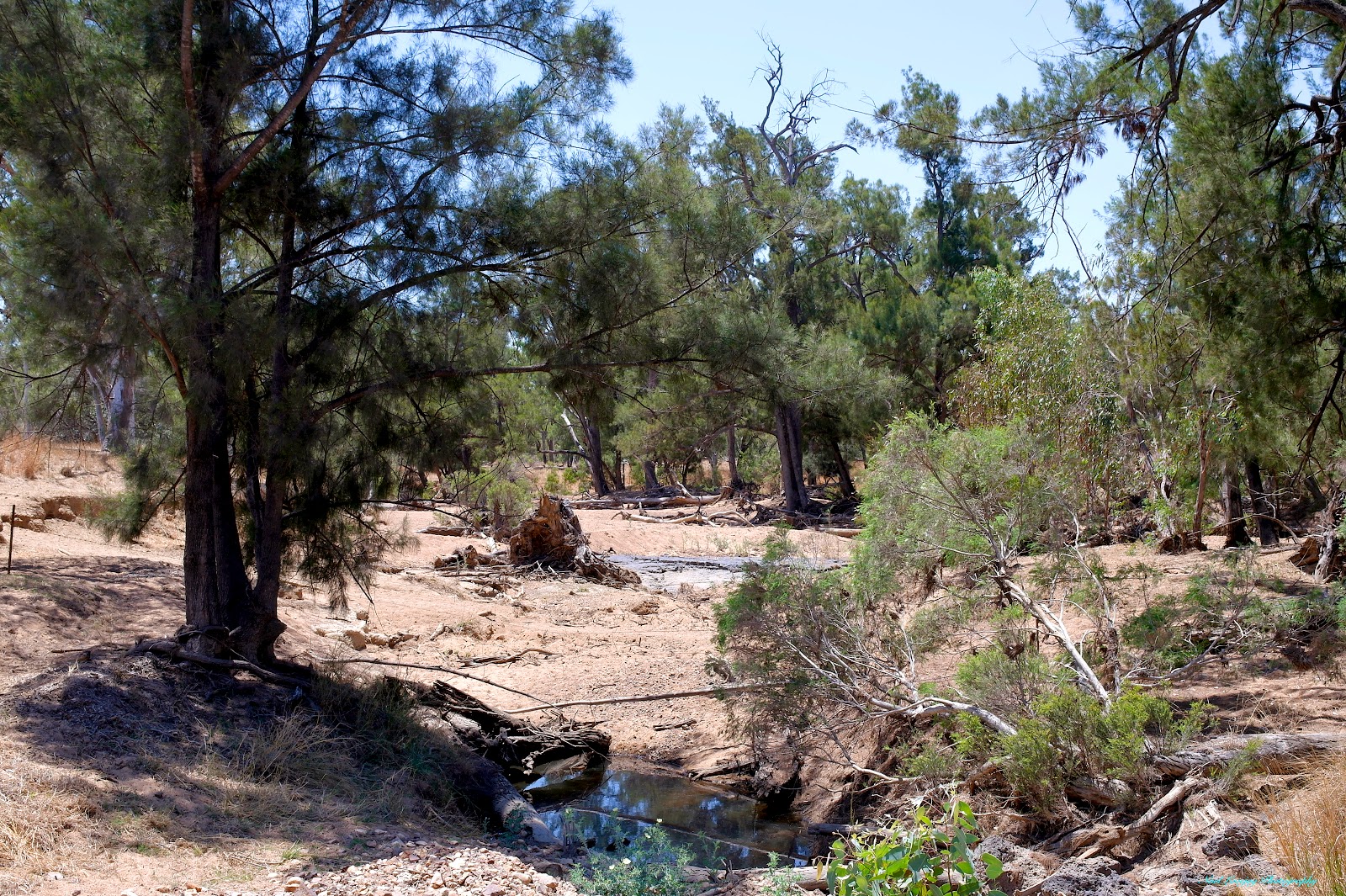 Can Go Around Australia: Kennedy Development Road, QLD.