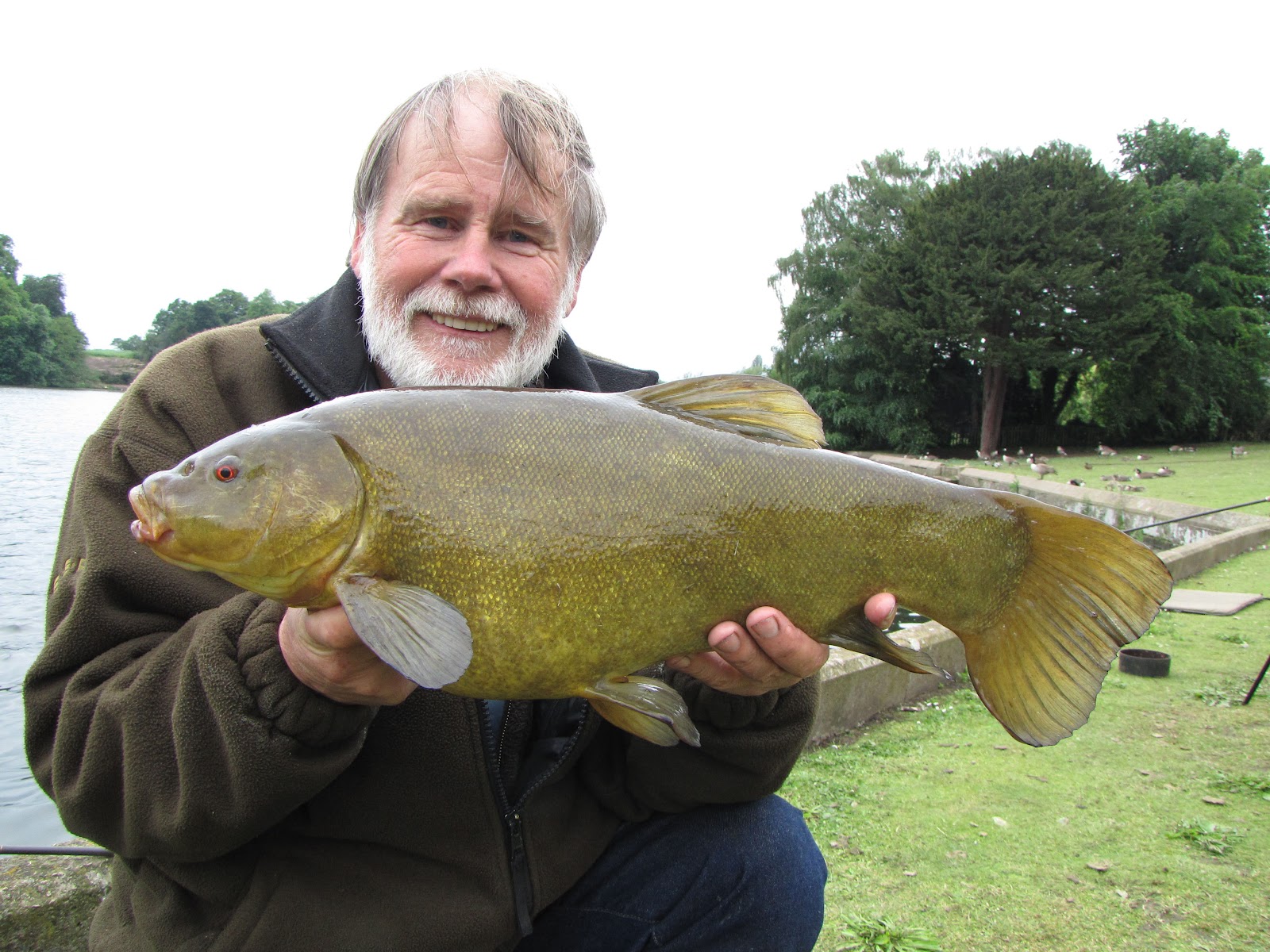 Travelling Man: A great time with big tench, bream and carp.