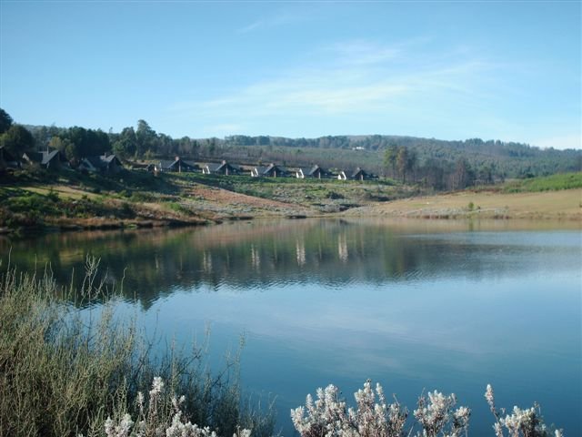 The Mutare Times: Troutbeck Nyanga Zimbabwe Eastern Highlands