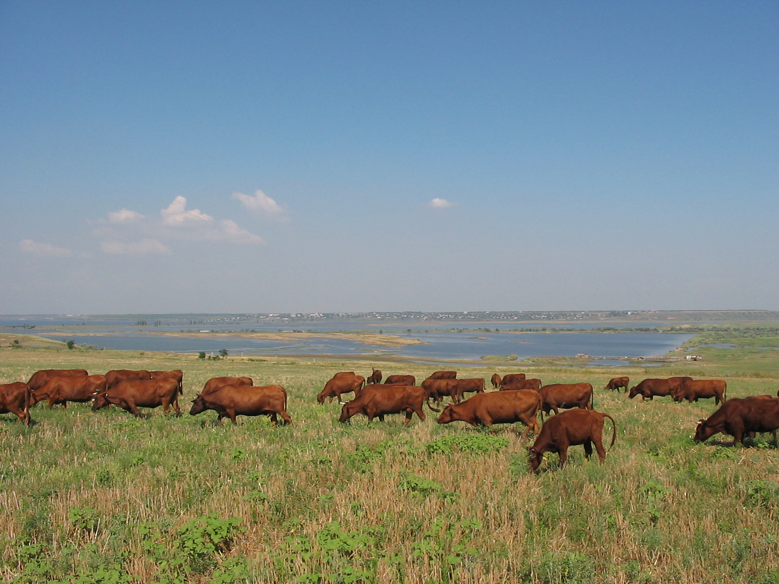 na wiele stron świata: Ukraina daleka i bliska