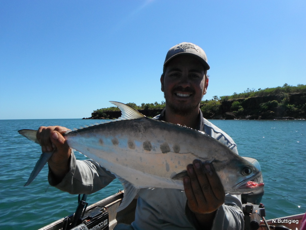 A Kimberley & Pilbara Adventure: McGowans Island - Kalumburu