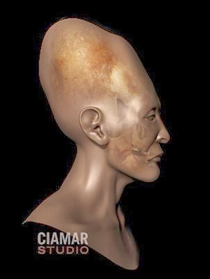 Plates of Gold: The Giant Long Skull Queen from Paracas - new graphics