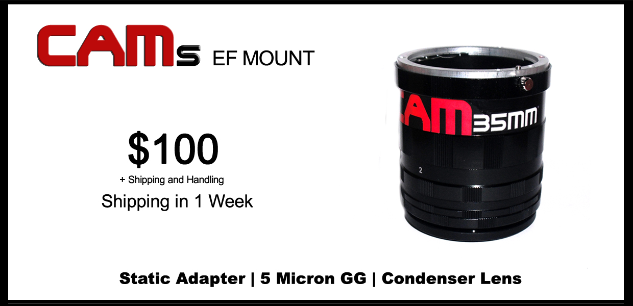 CARAVEOMEDIA | MULTIMEDIA | WORK FROM HOME: CAM35 - CAMs Static DOF ...