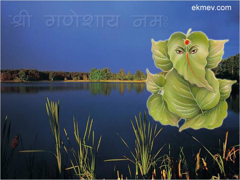 GSM KAMBOJ: NEW WALLPAPER