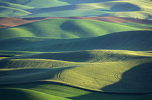 Primary Fitness: Undulating Periodization Training