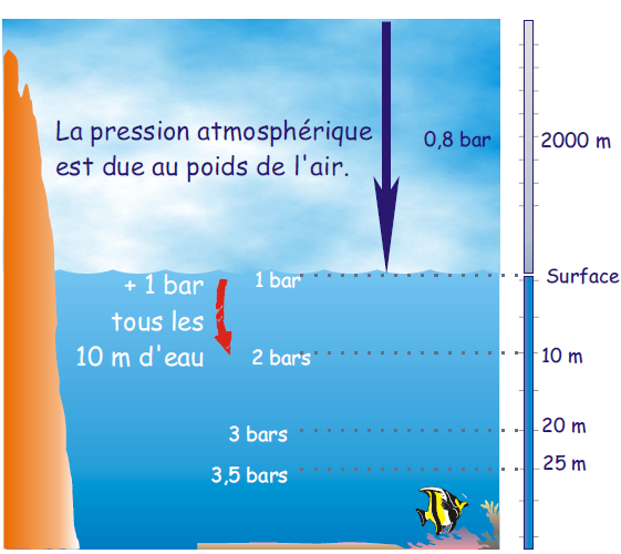 Plongée cours en ligne: Saturation, N1