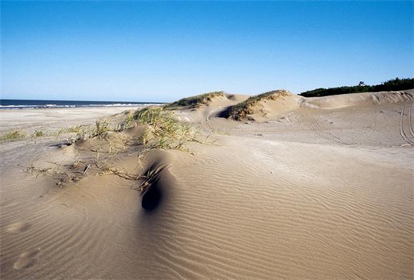 RESERVA NATURAL PUNTA RASA : RESERVA NATURAL PUNTA RASA