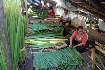 menikmati perjalanan hidup: Asa di Daun Nipah