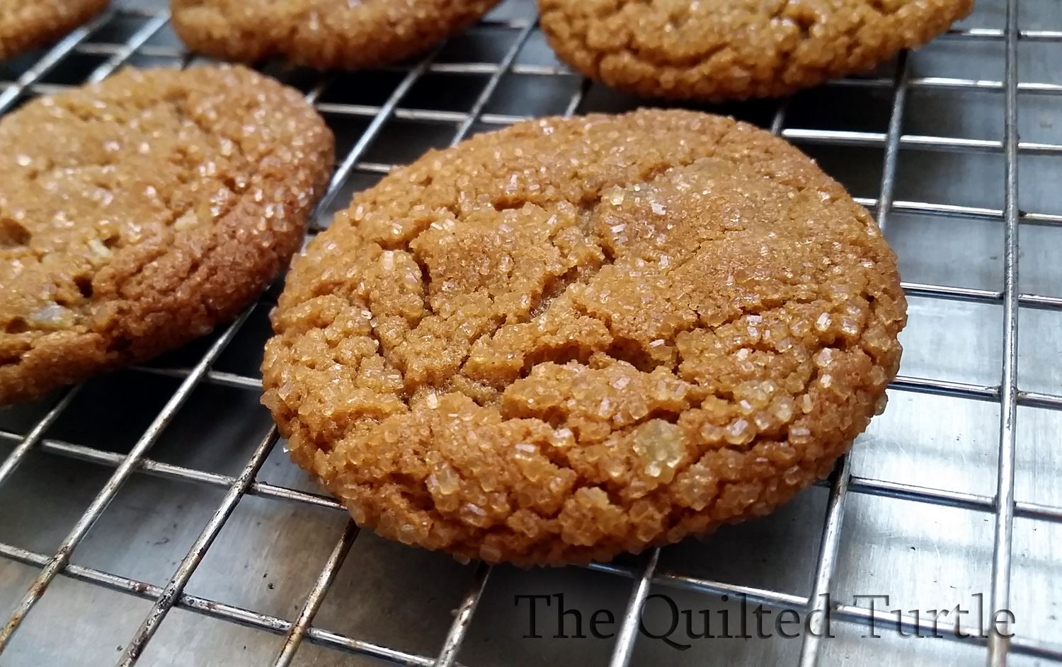 The Quilted Turtle: Spicy Ginger Cookies
