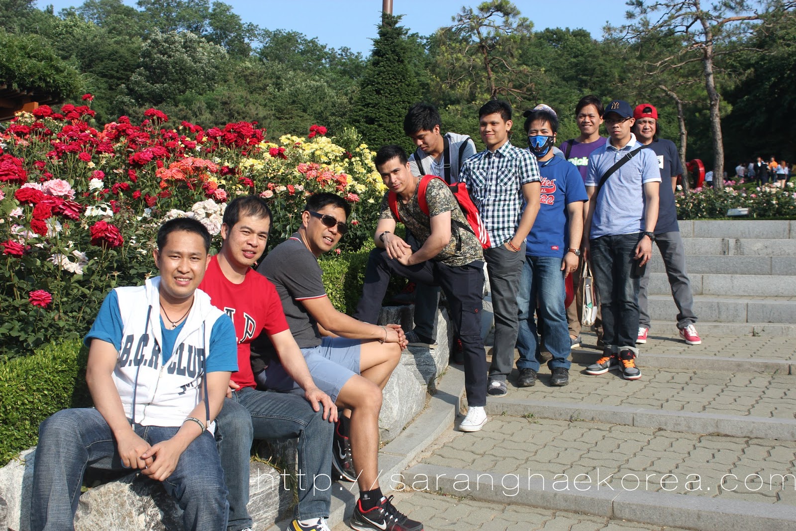 The Romantic Million-Rose Garden in Bucheon (백만송이장미원)