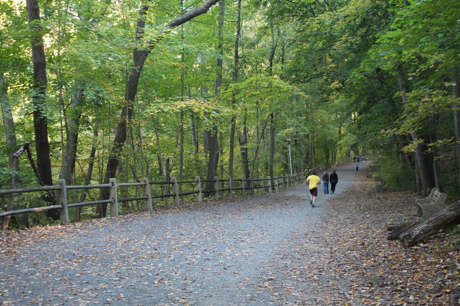 It Just Comes Naturally: Wissahickon Part 2: Forbidden Drive