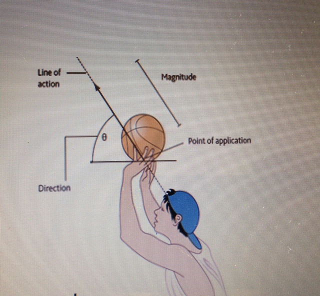 Biomechanics of a netball shot: How can a goalie improve the accuracy ...