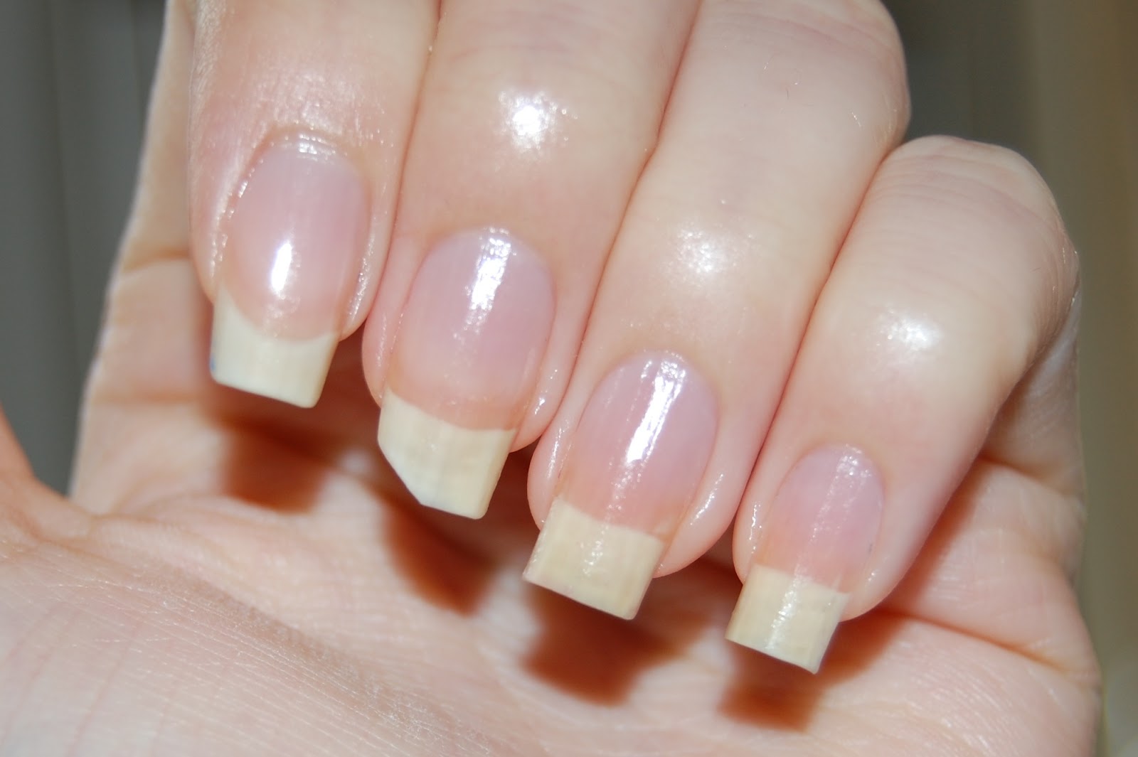 Paleberry: Back to Nubs