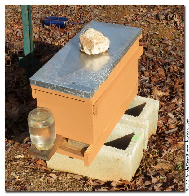 Randy & Meg's Garden Paradise: Swarm Traps and Nuk