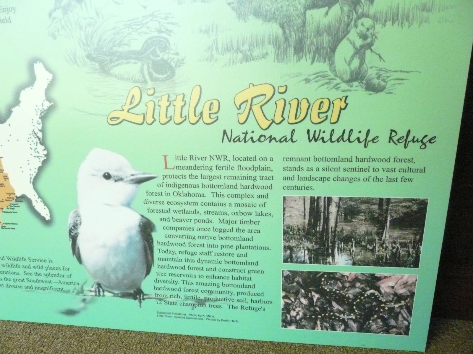 Archiving throughout Arizona, New Mexico, Oklahoma, and Texas: Little ...